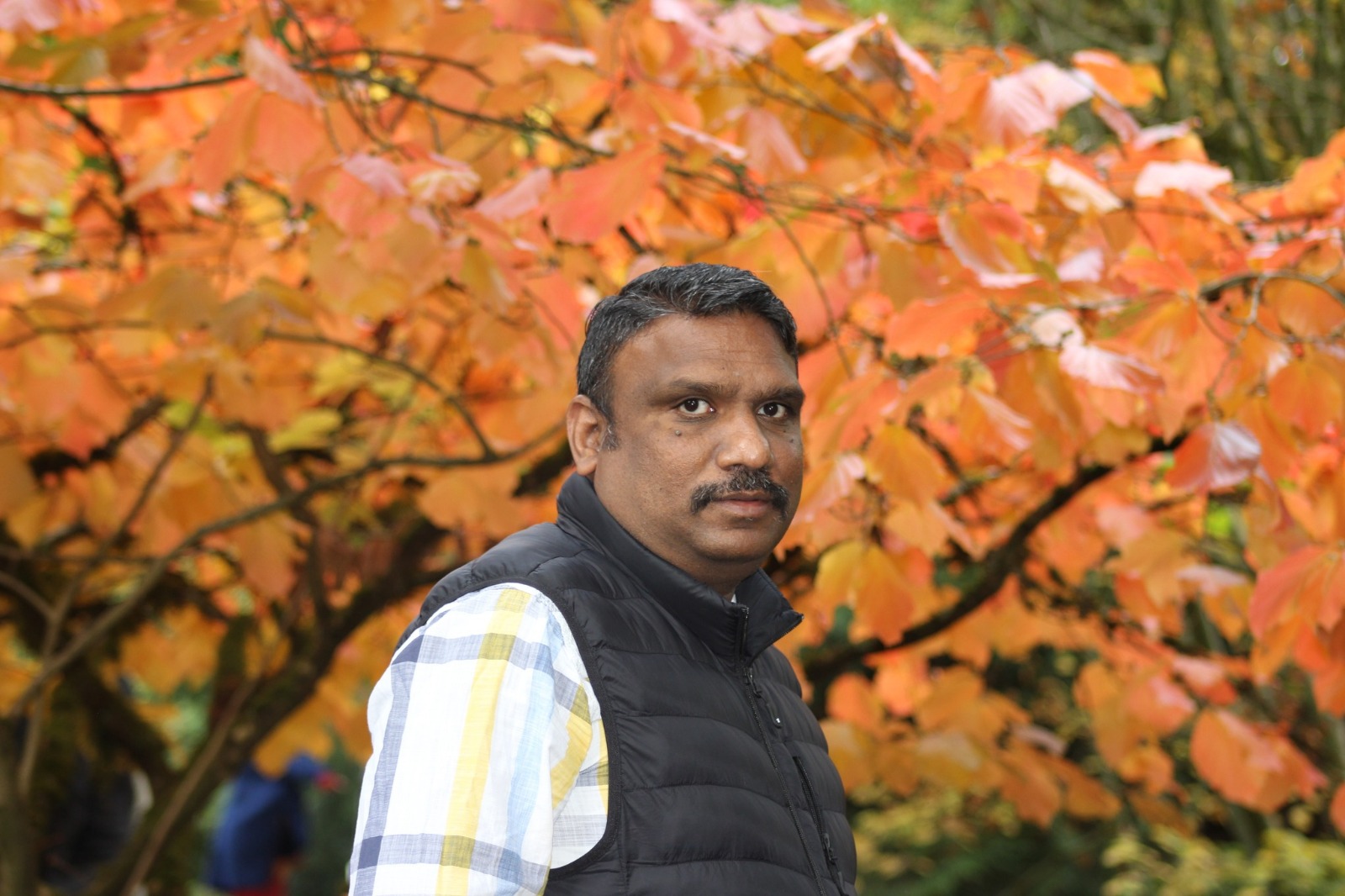 Redmond Tamil School